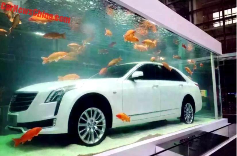 Cadillac CT6 in a Fish Tank in China - CarNewsChina.com